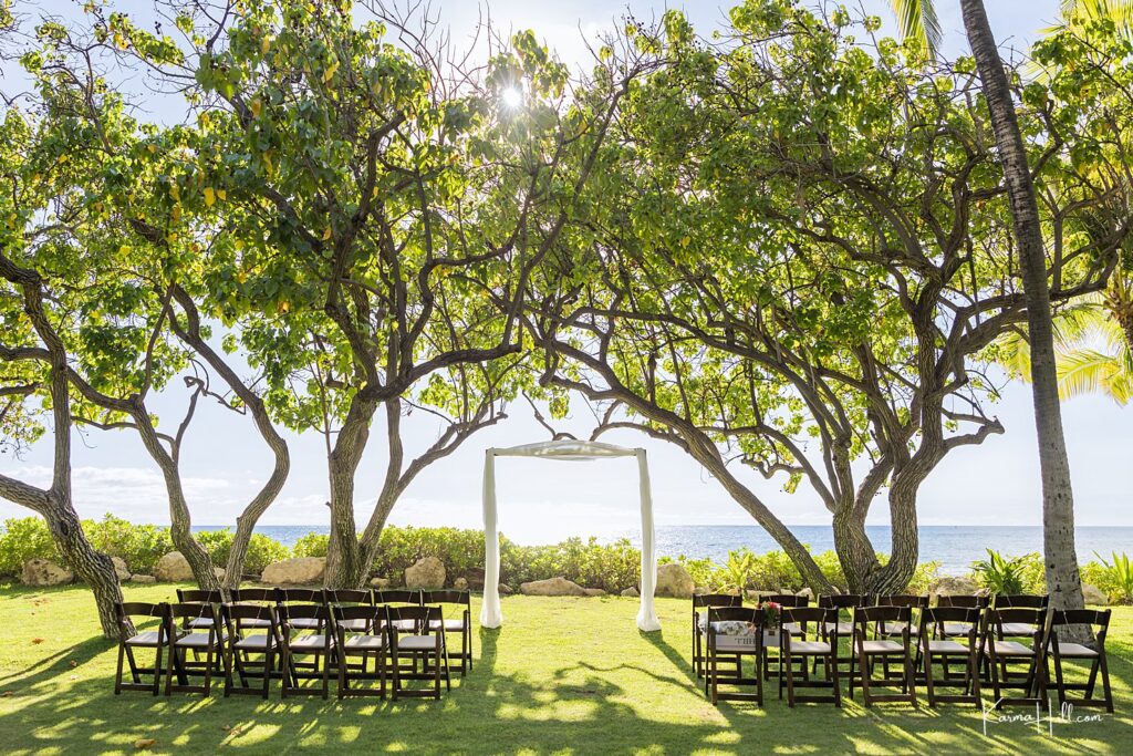A Day Of Our Dreams - Catherine & Blake's Oahu Venue Wedding